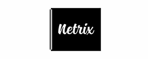 Netrix Digital | Top Interactive Agencies